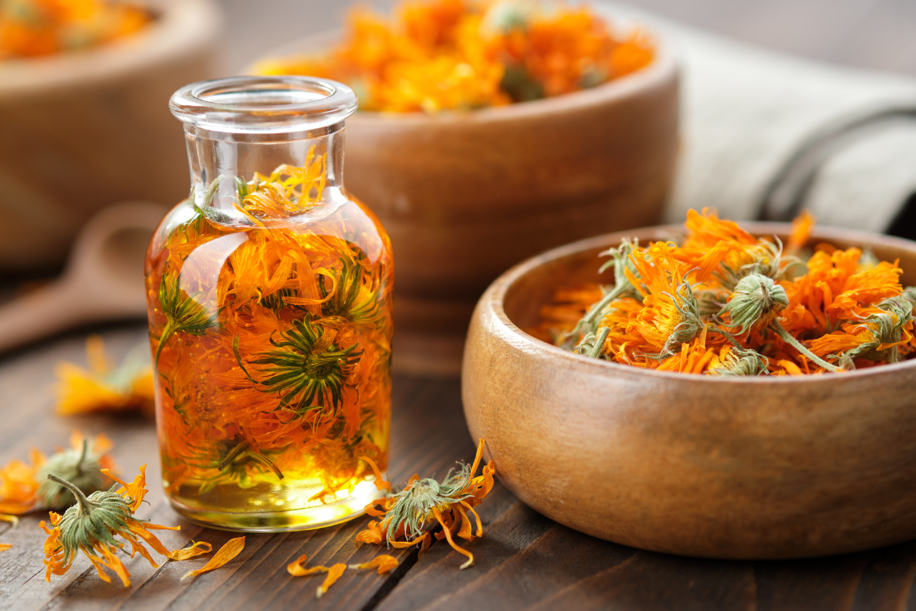 Meet Calendula: Skin-Healing Herb & Plant Spirit Guide ...